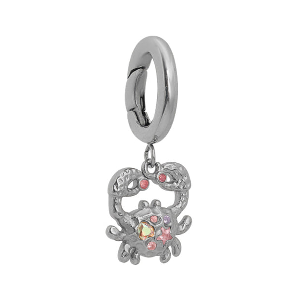 Cancer Charm Silver